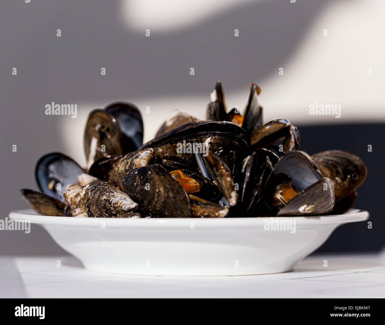 Gourmet mussels on plate Stock Photo - Alamy