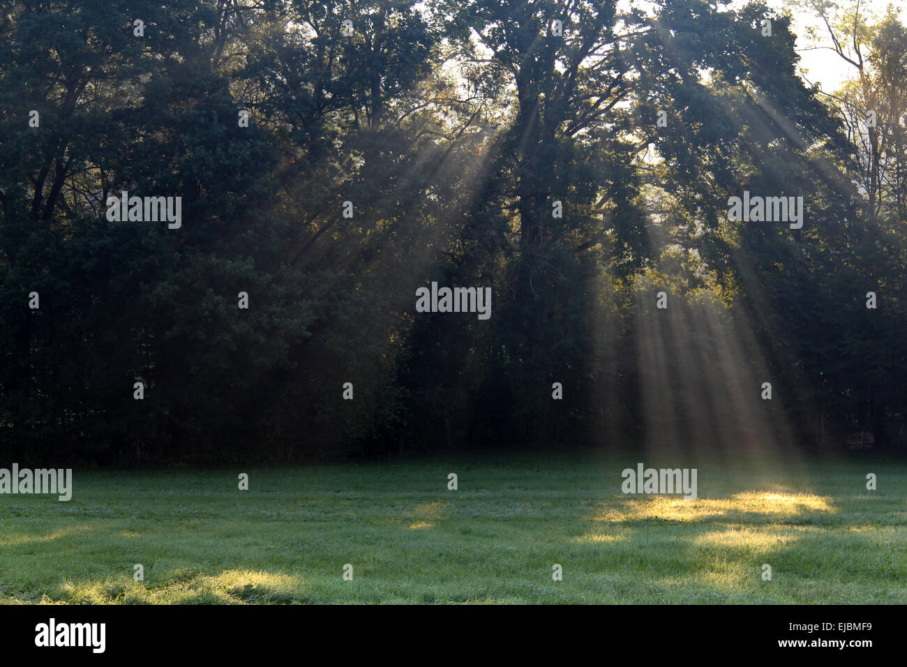 Frank sun hi-res stock photography and images - Alamy