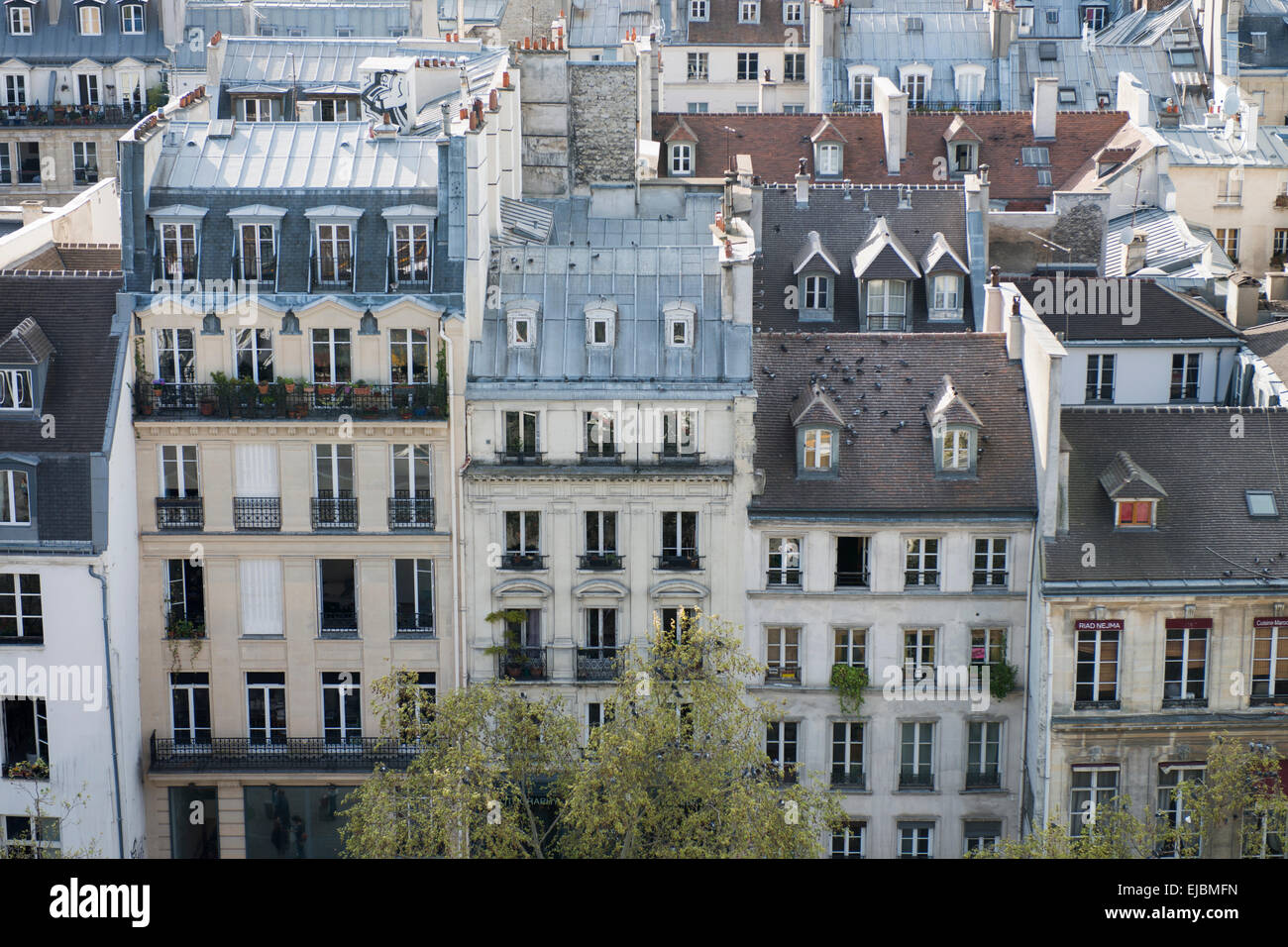 Apartment buildings in Paris, France Stock Photo - Alamy