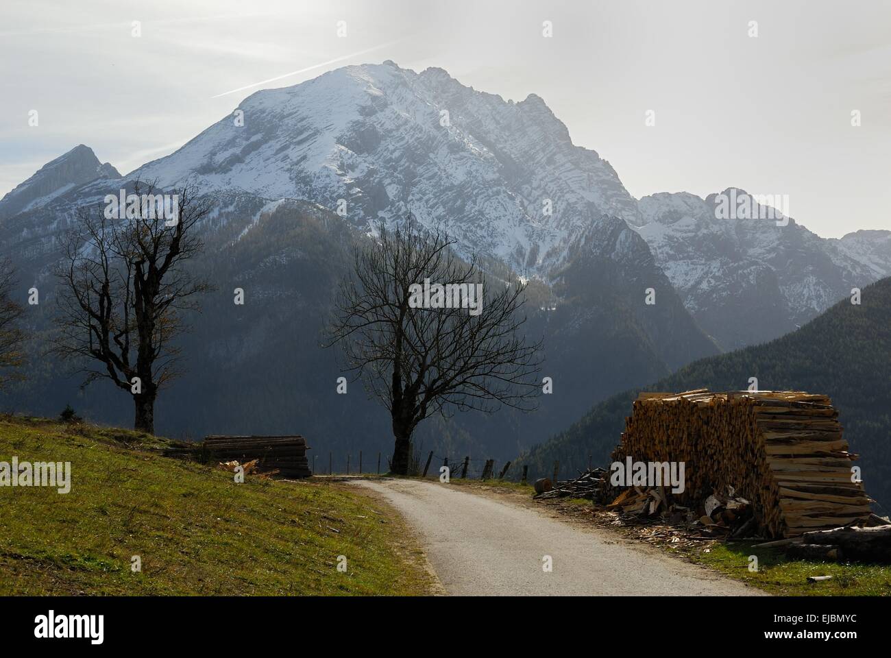 Mount Watzmann, view from the Loipl Stock Photo - Alamy