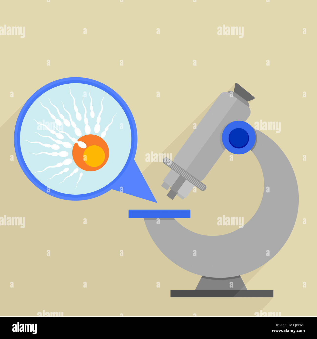 Sperm and egg microscope hi-res stock photography and images - Alamy