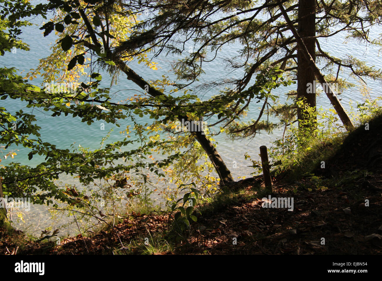 View thro hi-res stock photography and images - Alamy