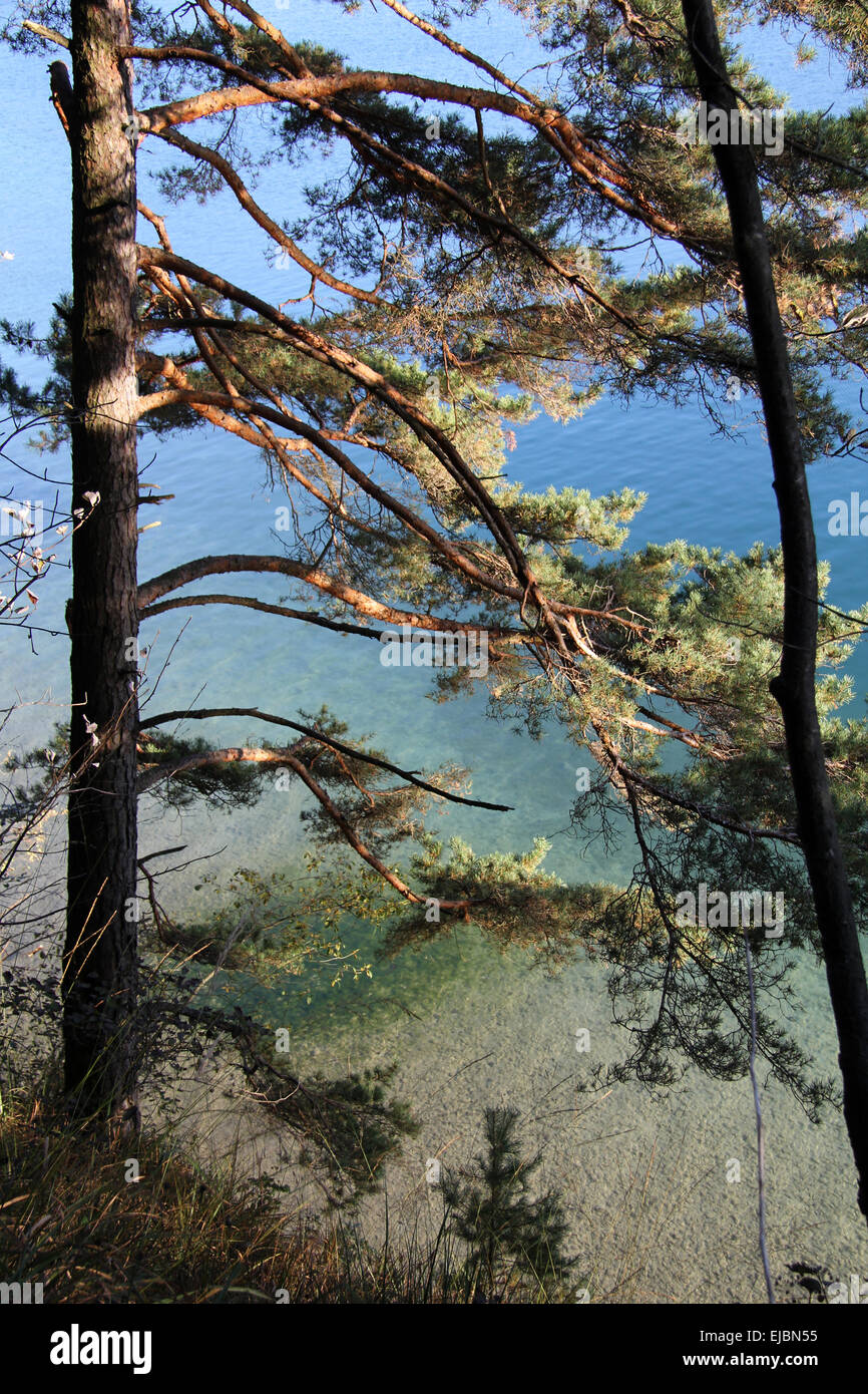 View through trees on lake Stock Photo - Alamy