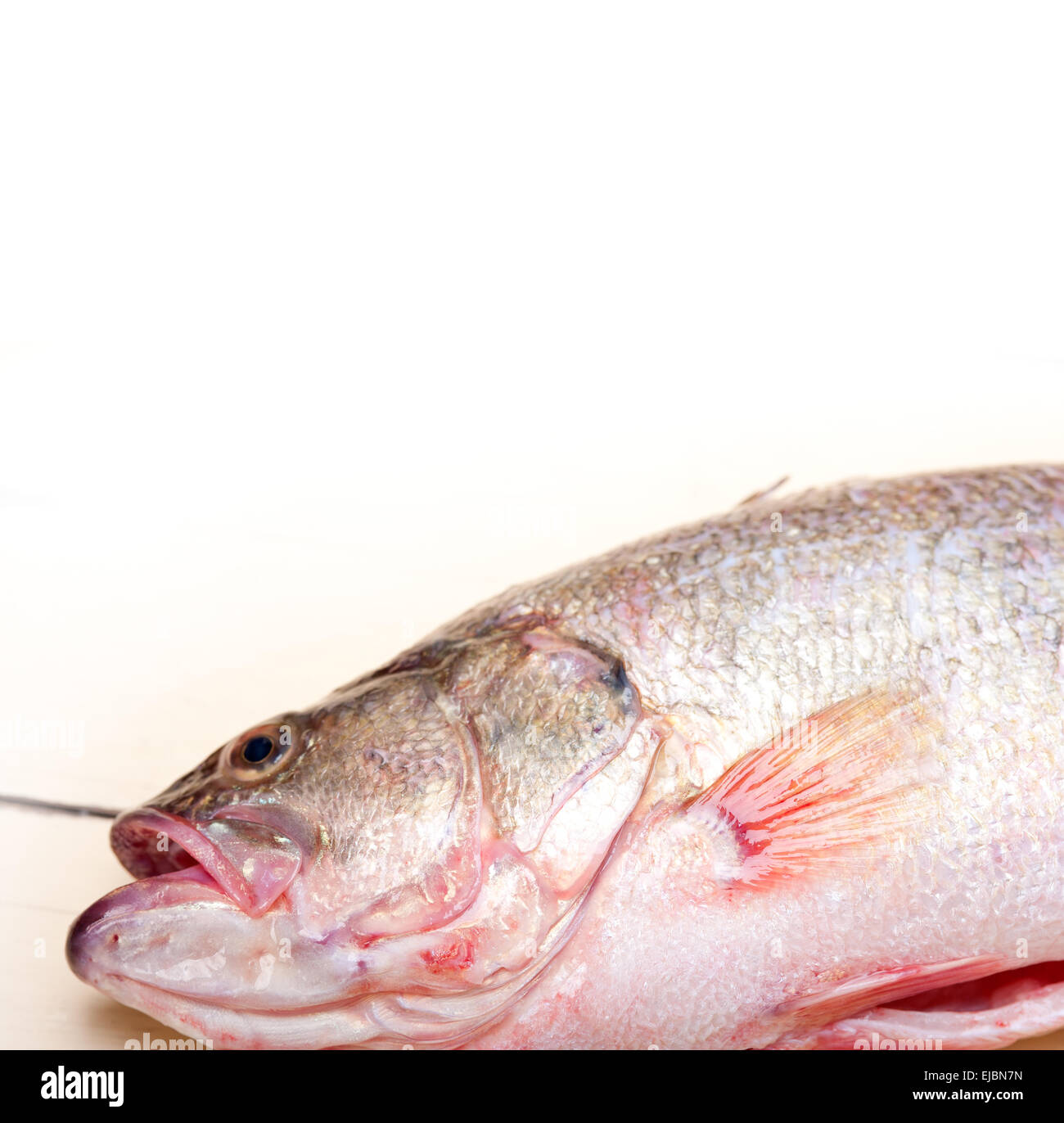 Whole Fishes High Resolution Stock Photography and Images - Alamy