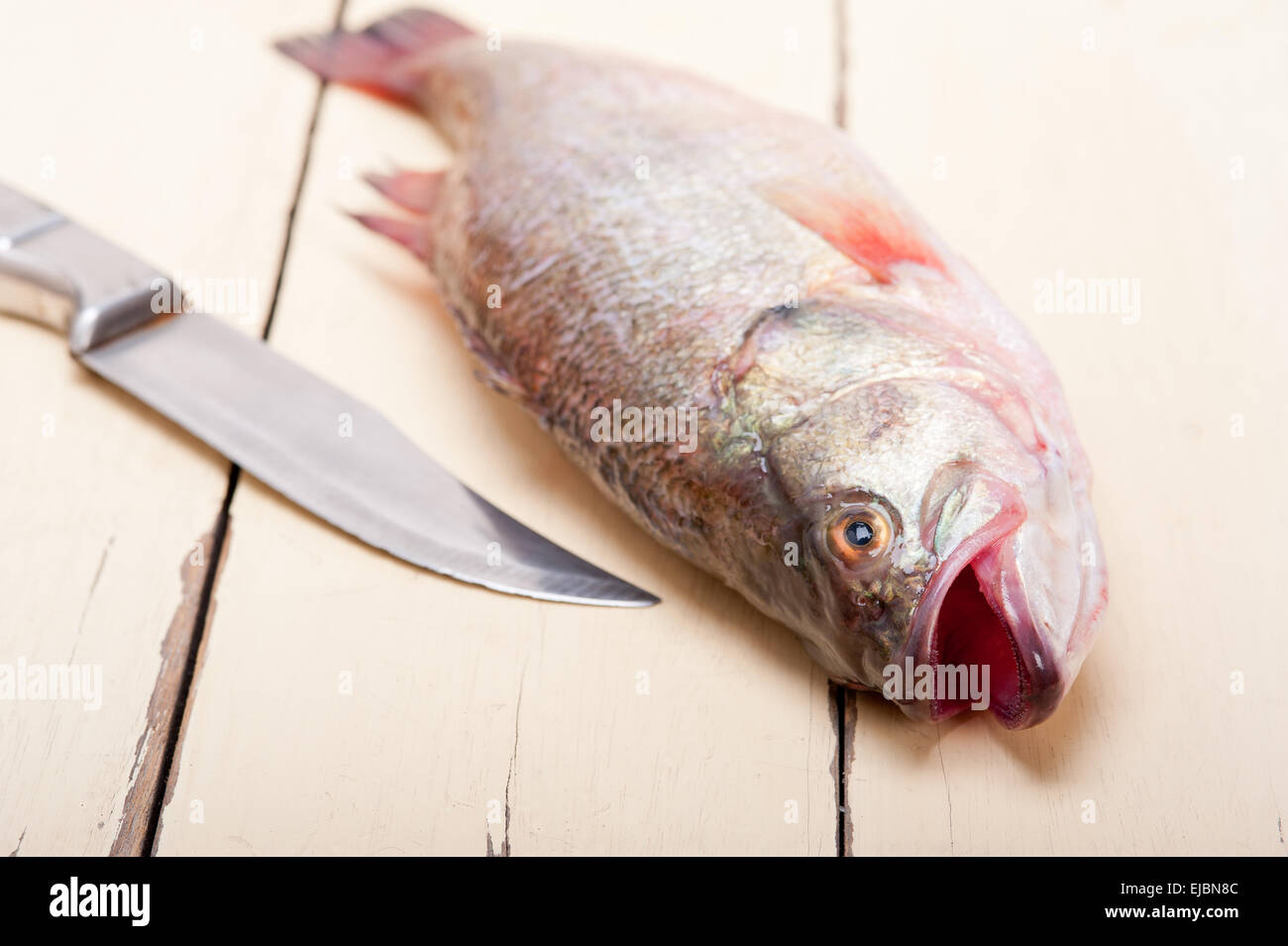 fresh whole raw fish Stock Photo - Alamy
