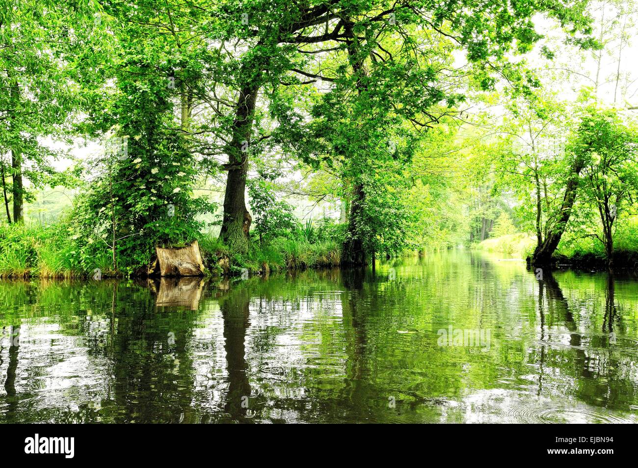Graben germany hi-res stock photography and images - Alamy
