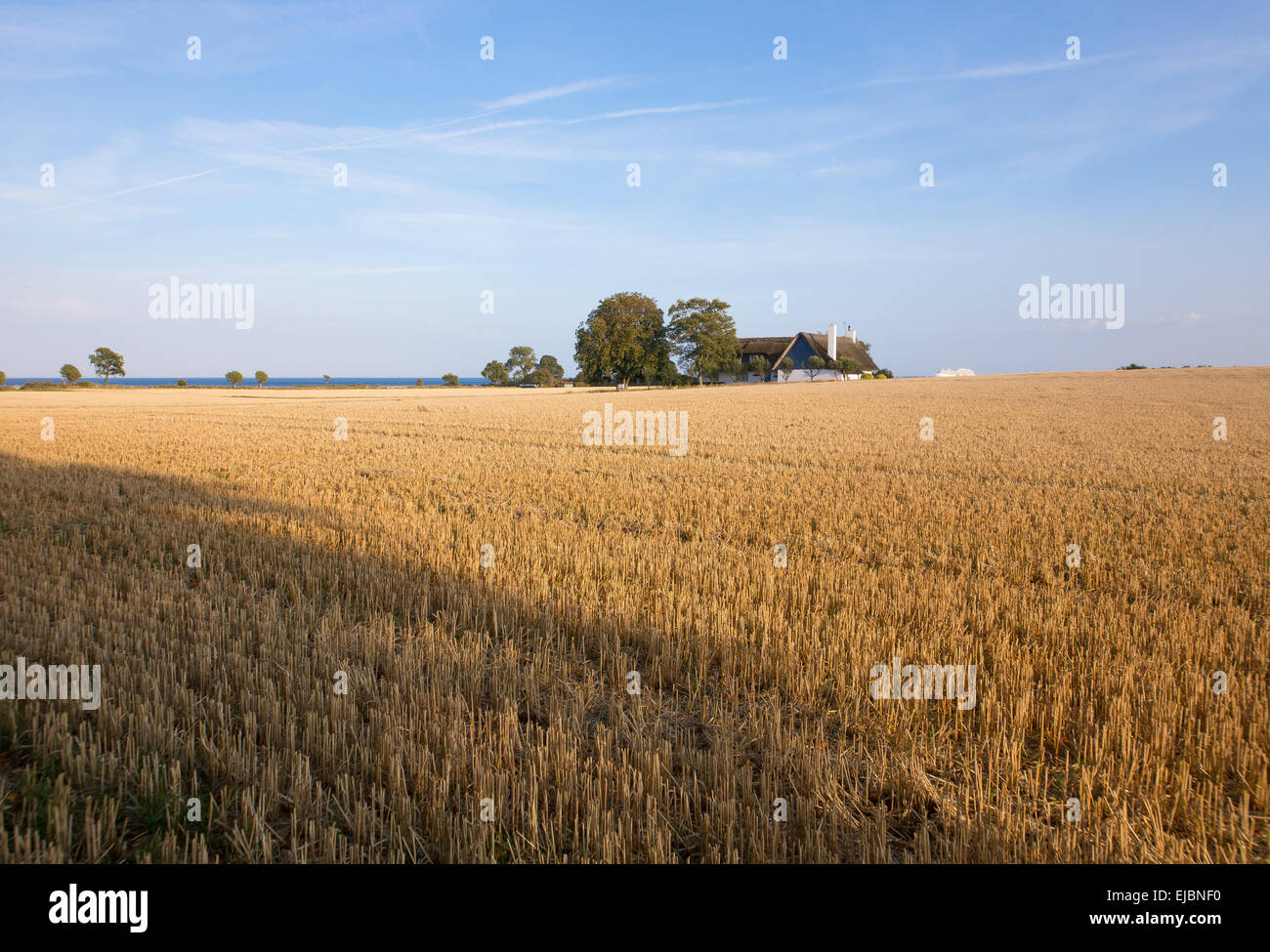 Stubble field by the sea Stock Photo - Alamy