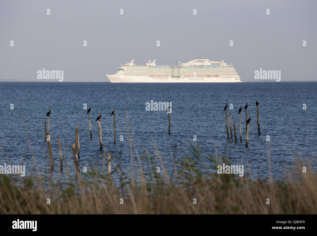Cruise ship on the horizon Stock Photo - Alamy