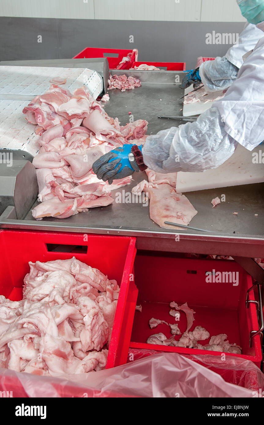 pork processing meat food industry Stock Photo - Alamy