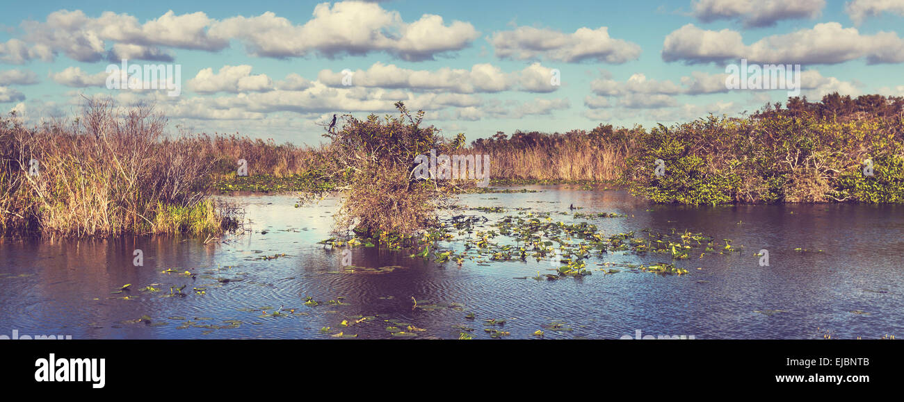 Florida landscapes hi-res stock photography and images - Alamy