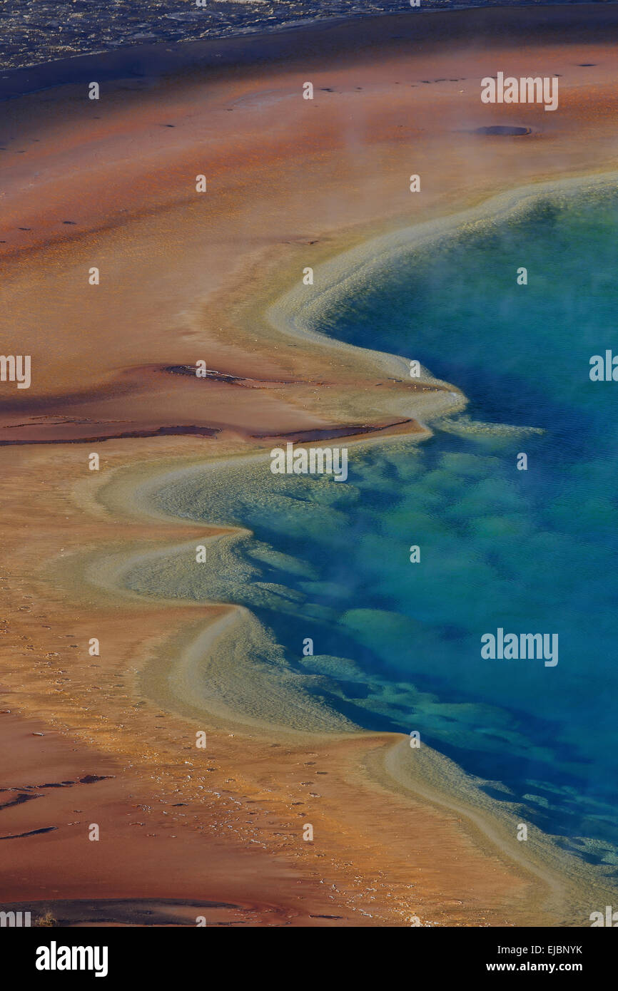 Yellowstone hot spring bird hi-res stock photography and images - Alamy