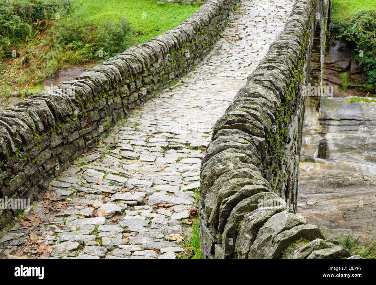 Walking bridges and beautiful environment hi-res stock photography and ...