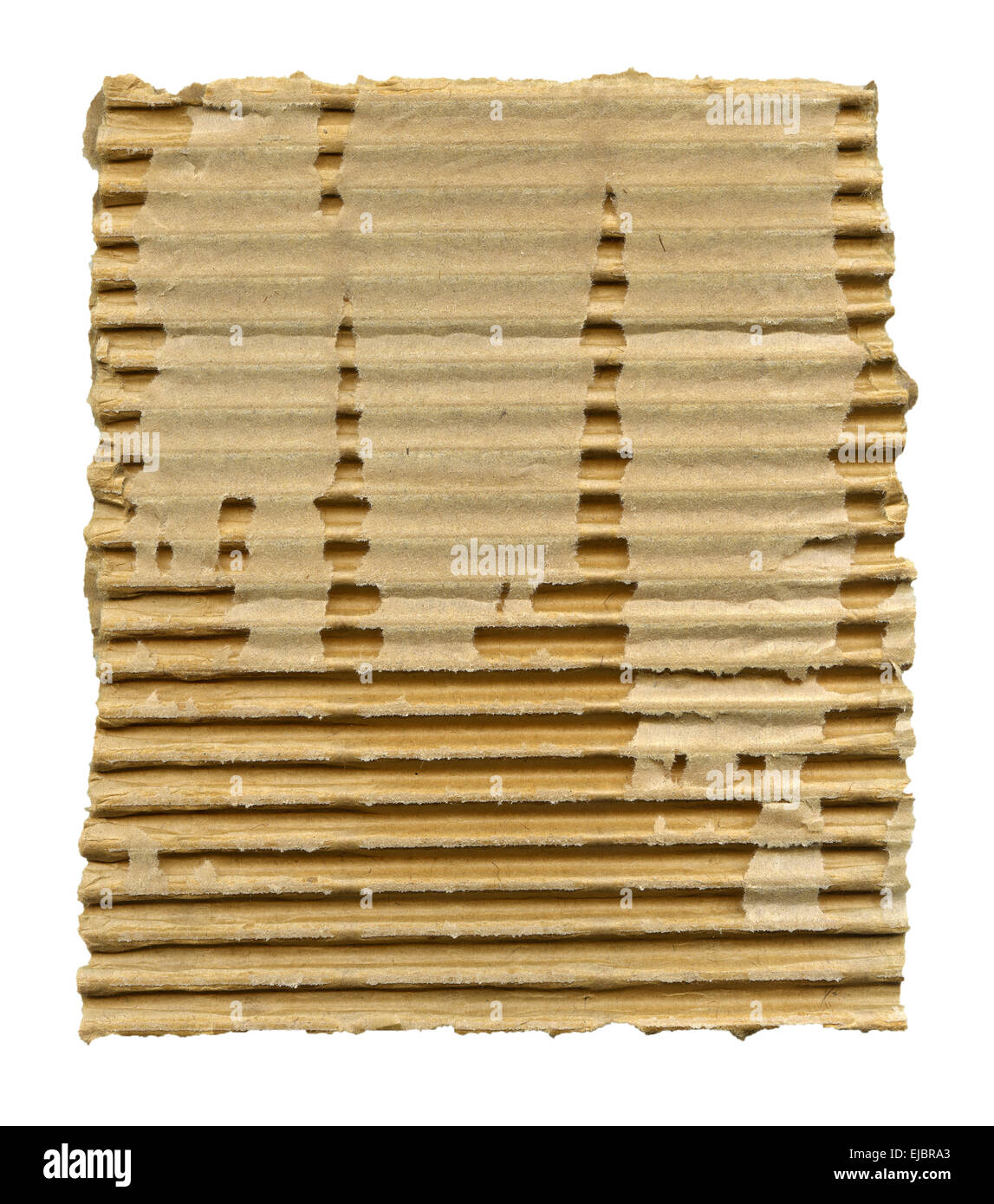 Torn cardboard isolated Stock Photo - Alamy