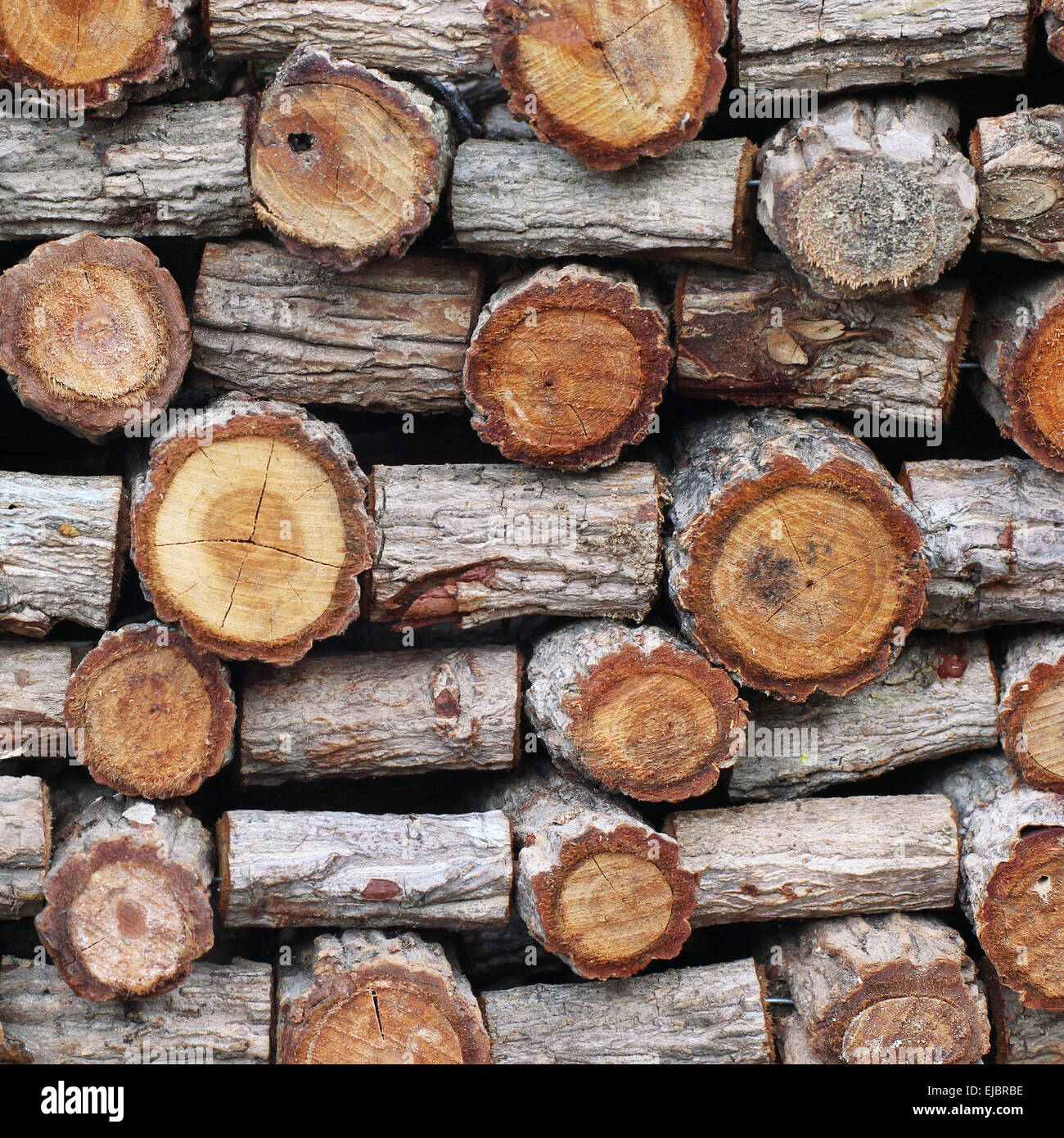 Stump stack background or texture Stock Photo - Alamy