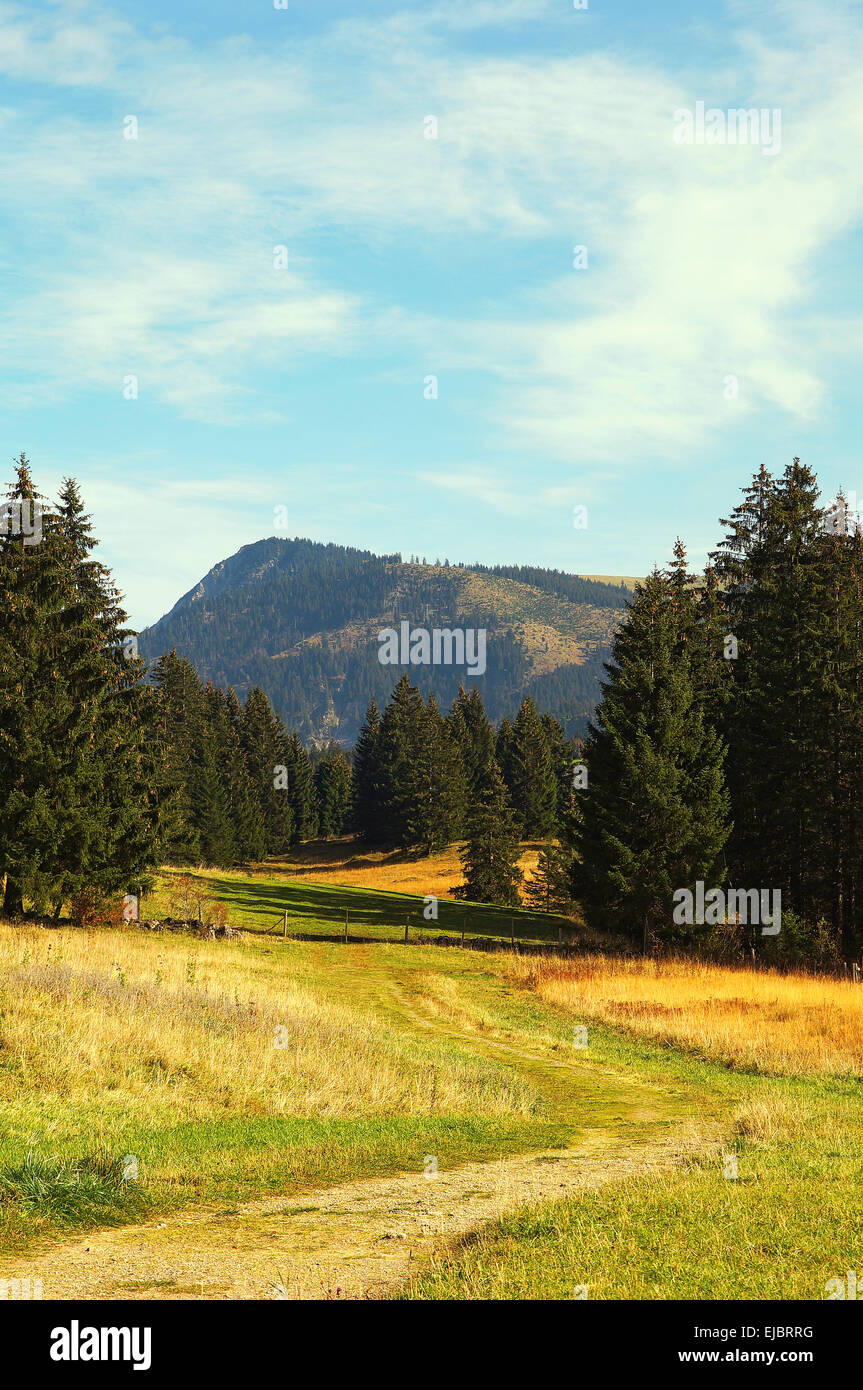 Hill Moor Oberjoch Bavaria Germany Stock Photo - Alamy