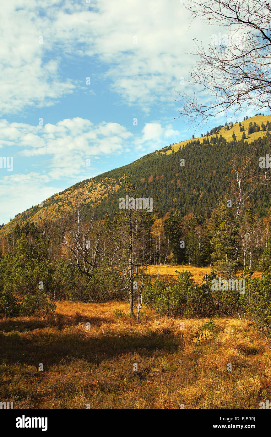 Hill Moor Oberjoch Bavaria Germany Stock Photo - Alamy
