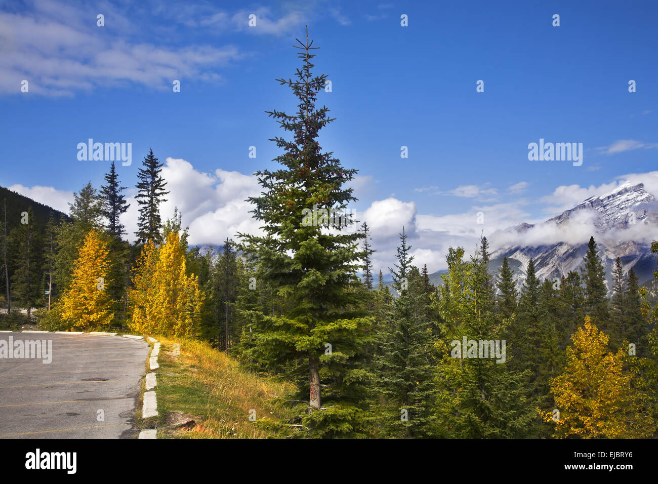 The road. Northern landscape Stock Photo - Alamy