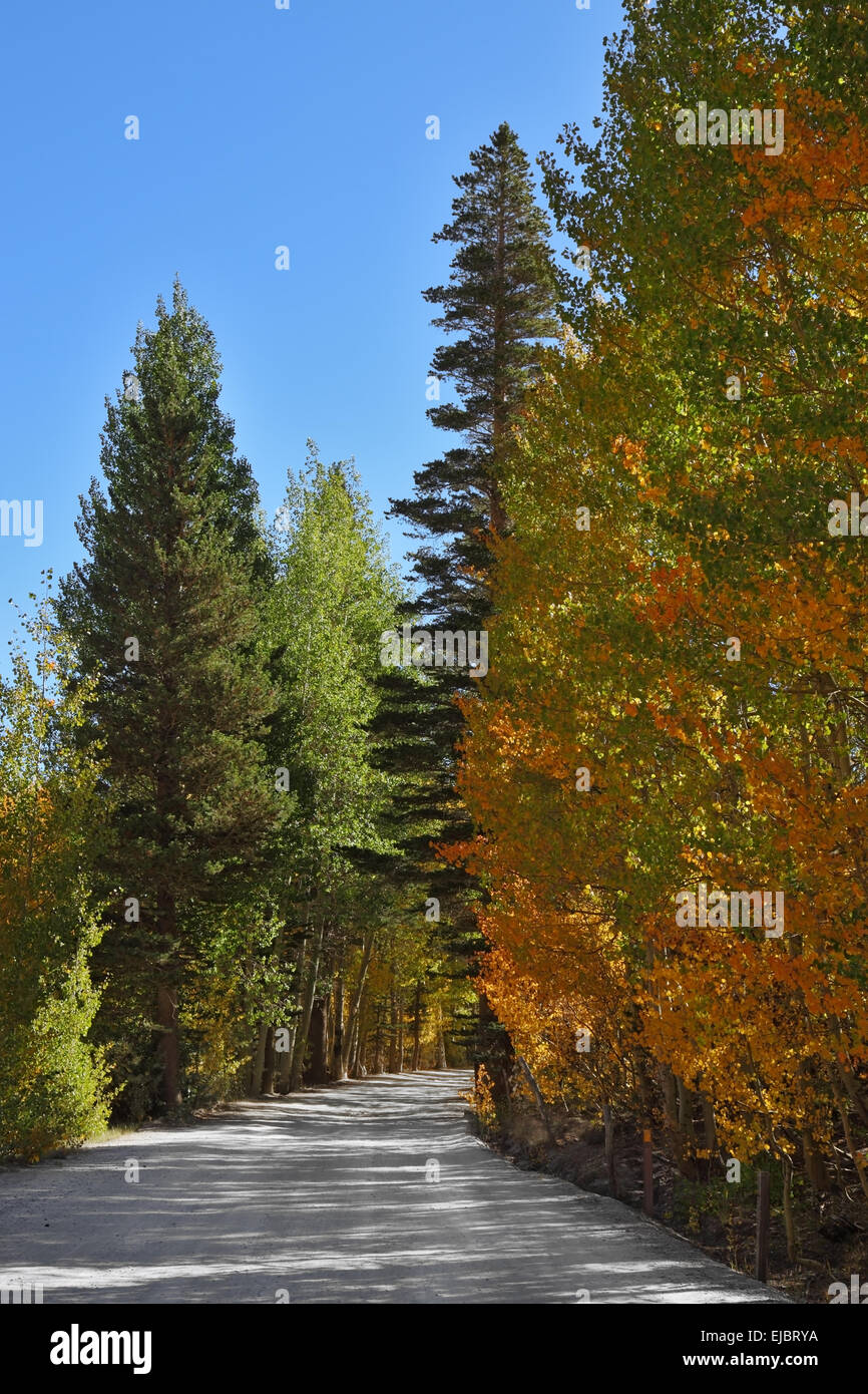 Nice road in the mountains Stock Photo - Alamy