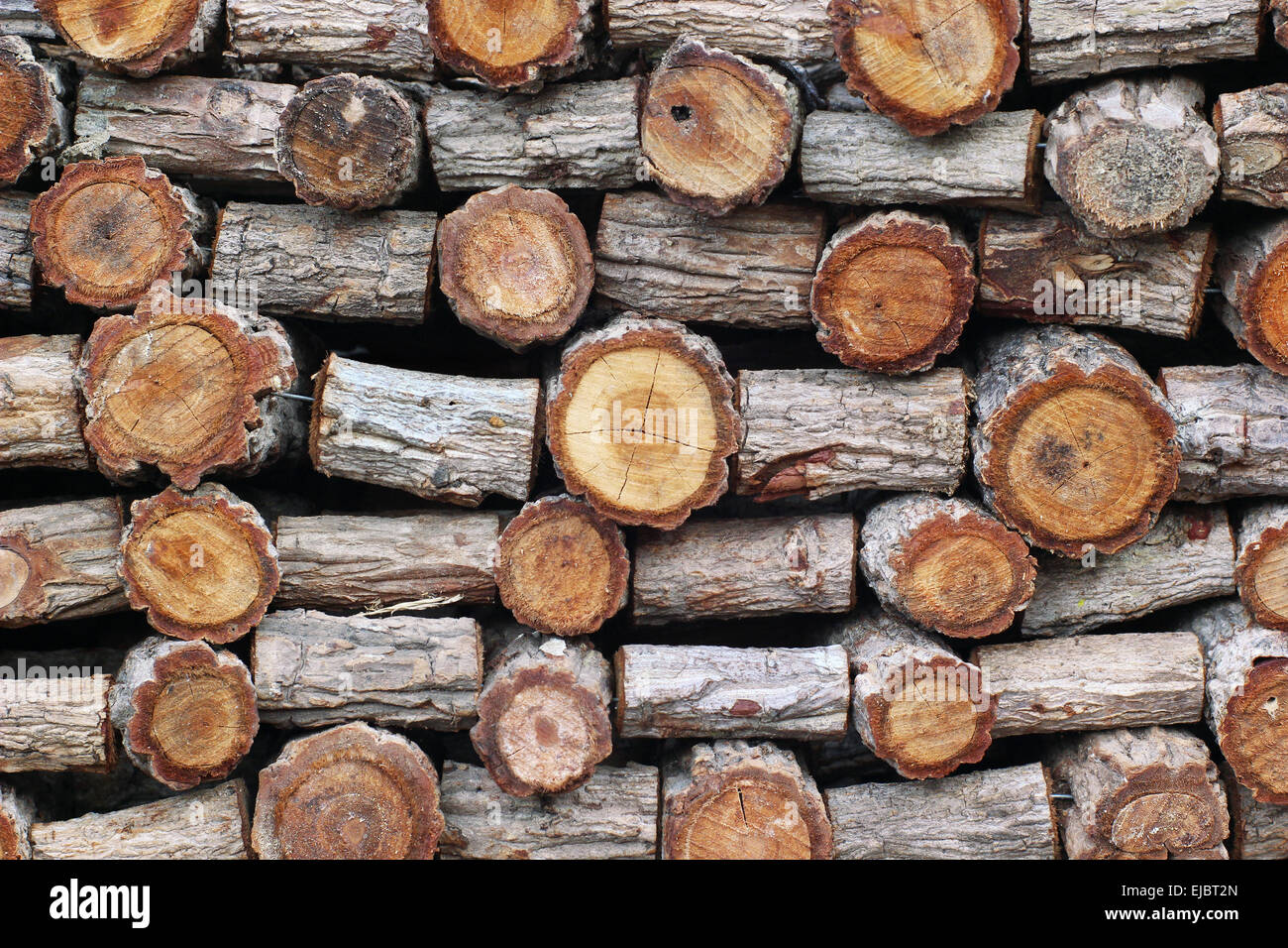 Stump stack background or texture Stock Photo - Alamy