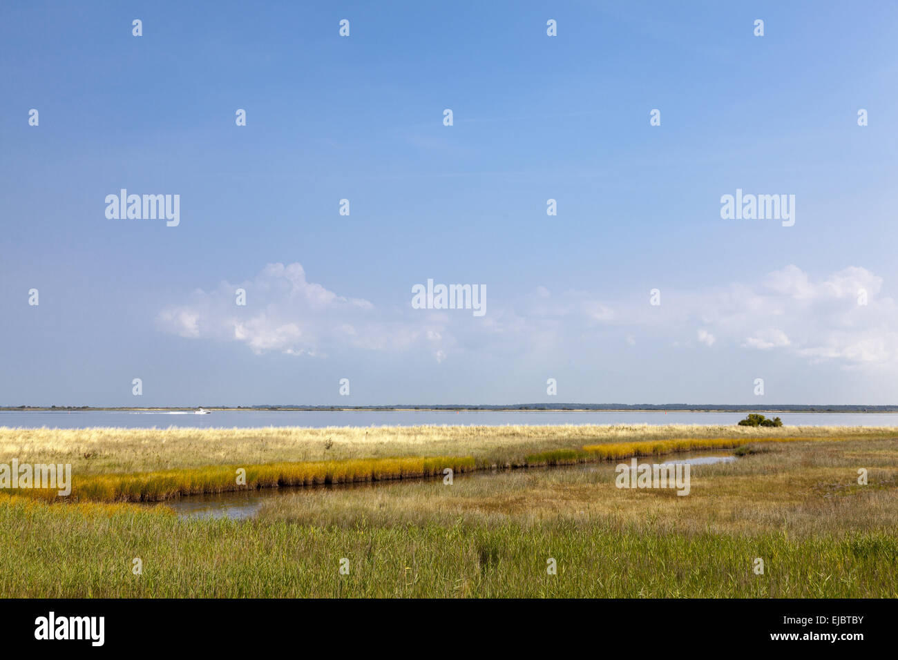 Insel hiddensee hi-res stock photography and images - Alamy