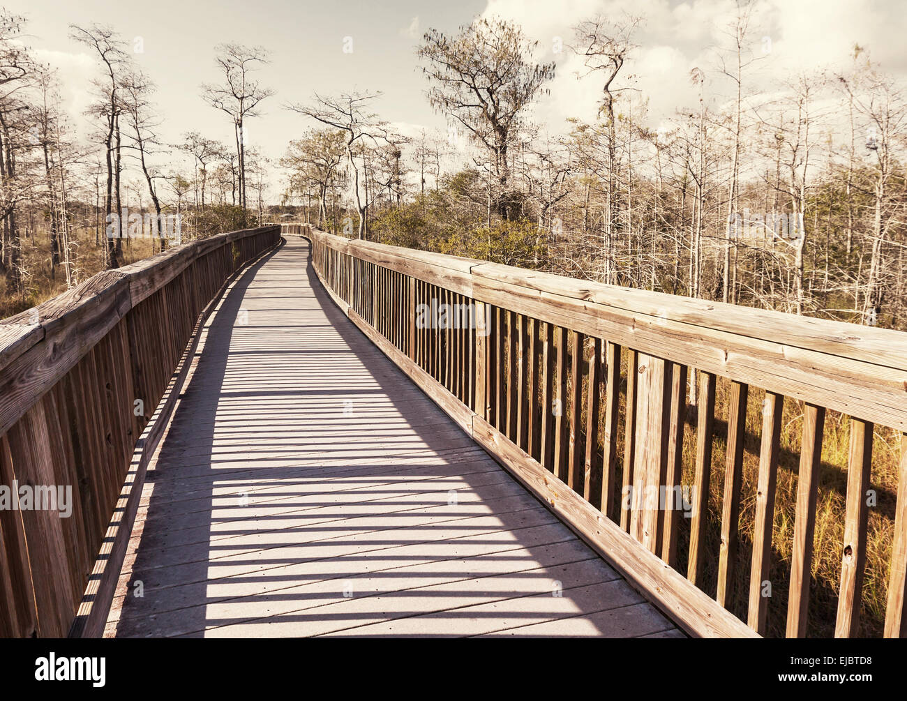 Boardwalk in swamp Stock Photo - Alamy