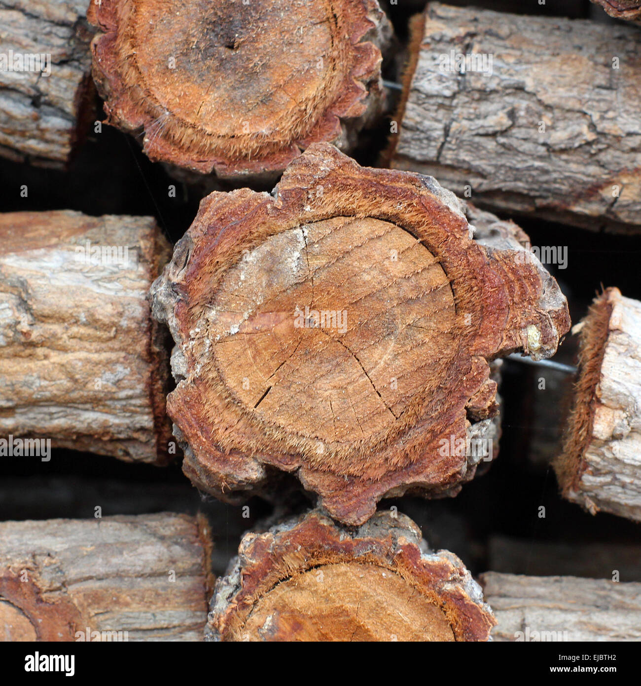 Stump stack background or texture Stock Photo - Alamy