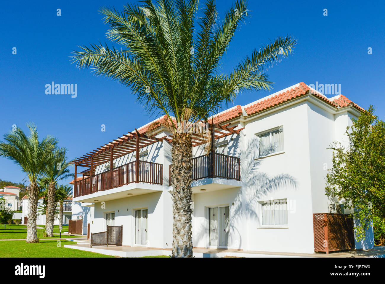 building green palm plant Stock Photo - Alamy