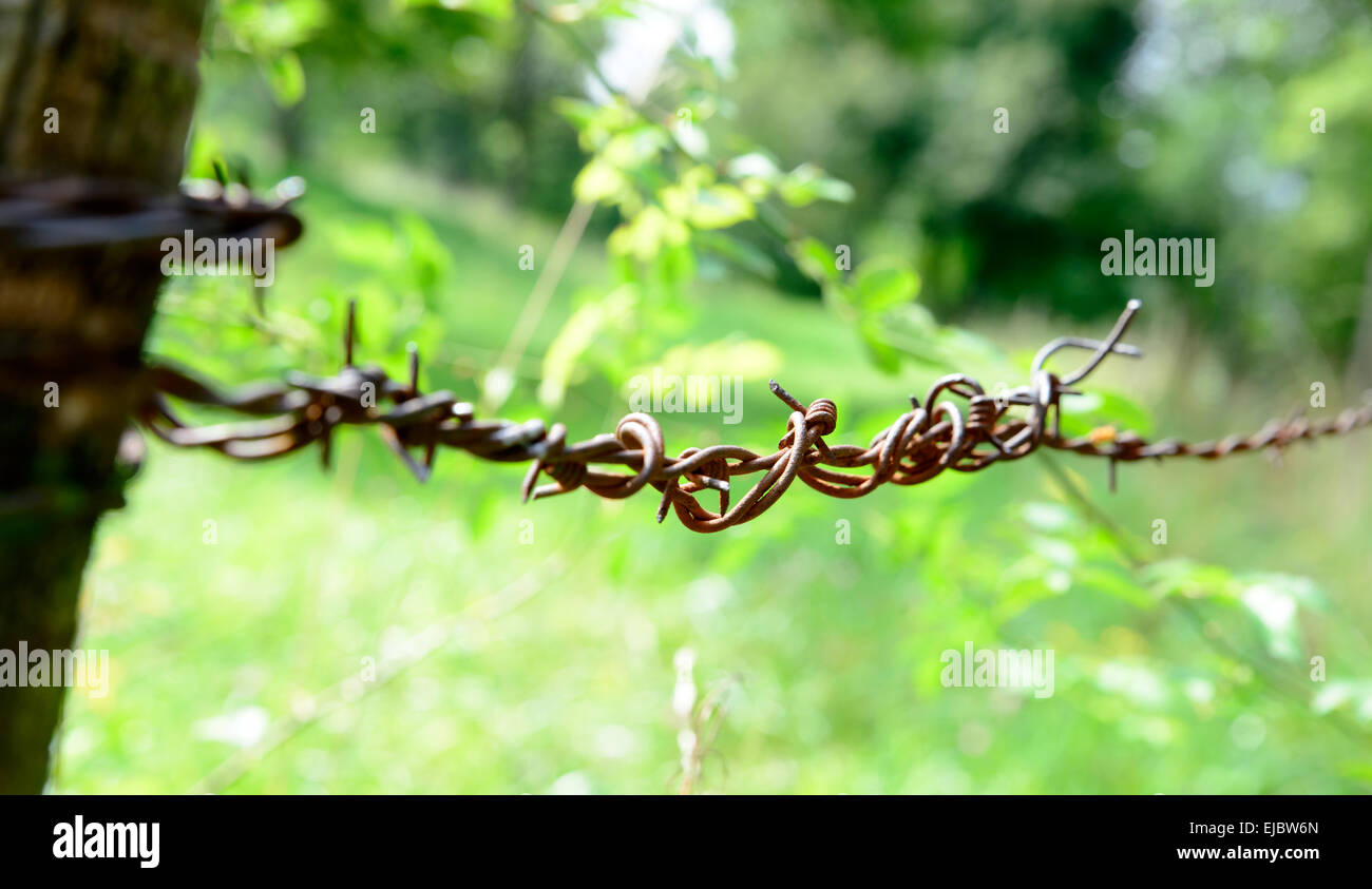 rusty barbed wire in the countryside Stock Photo - Alamy