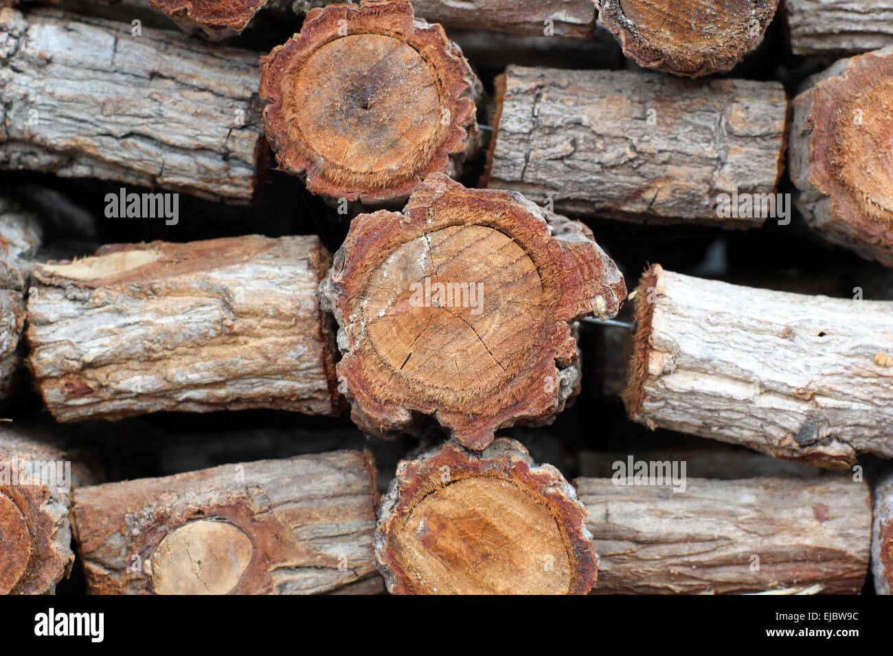 Stump stack background or texture Stock Photo - Alamy