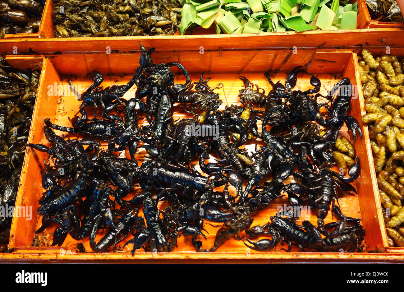 Bugs grilled hi-res stock photography and images - Alamy
