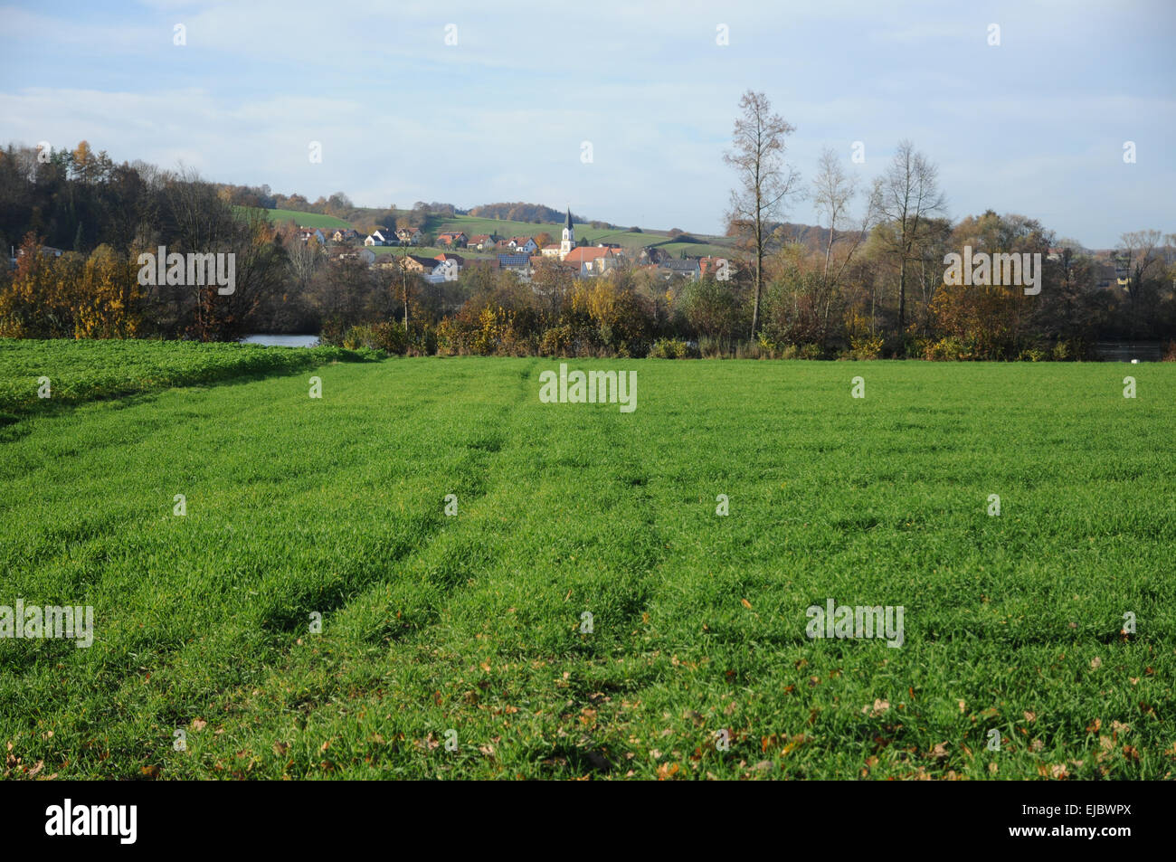 Summer autumn fall wheatfield hi-res stock photography and images - Alamy