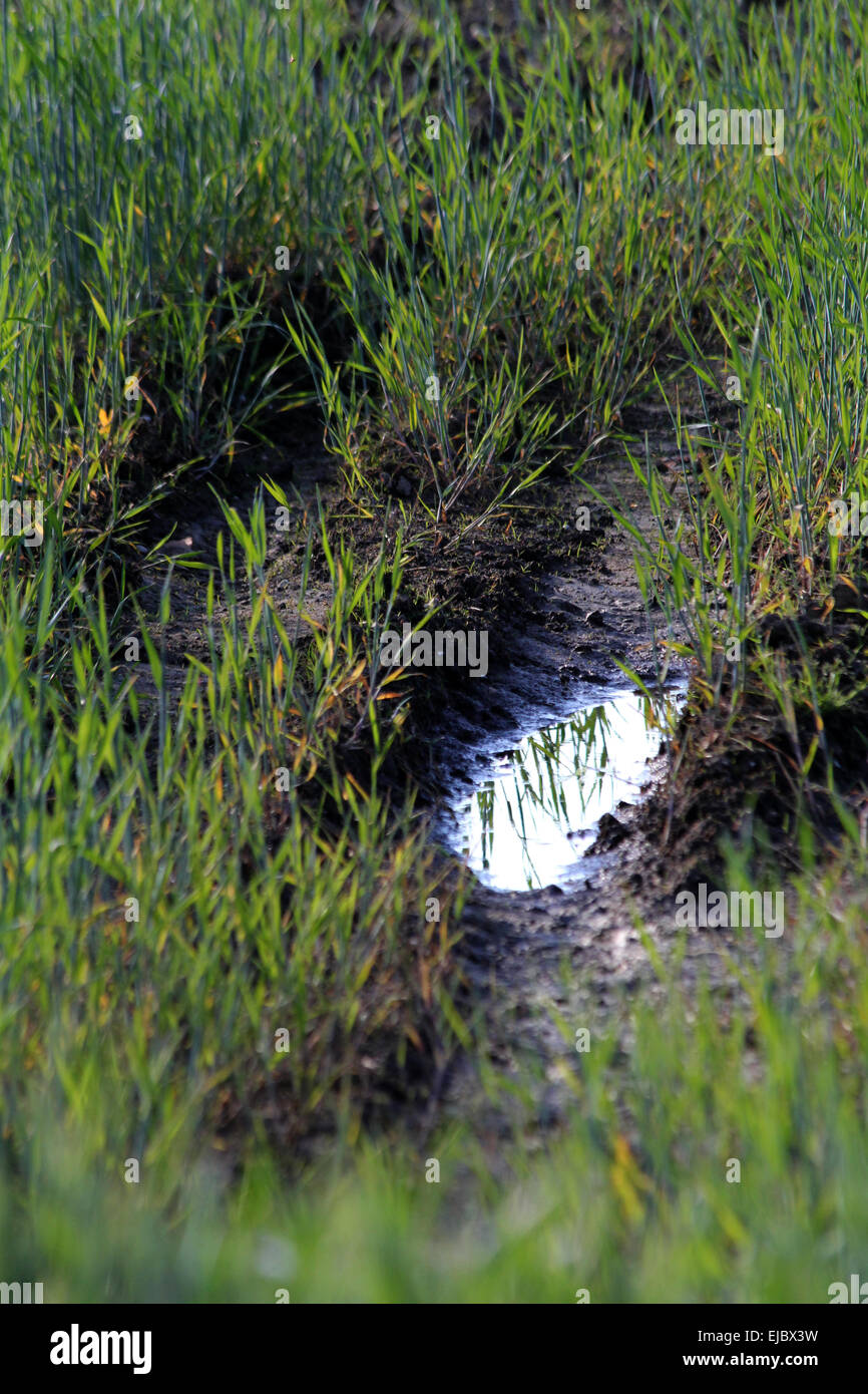 Reflection photos hi-res stock photography and images - Alamy