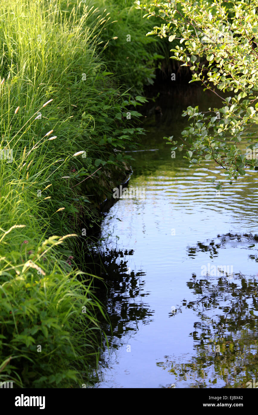 Brook Stock Photo - Alamy Brook Stock Photo - Alamy