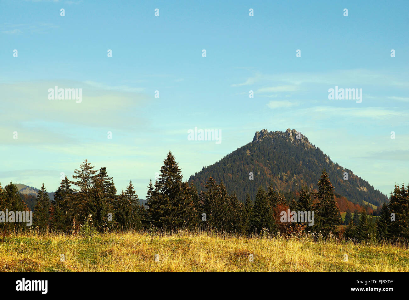 Hill Moor Oberjoch Bavaria Germany Stock Photo - Alamy