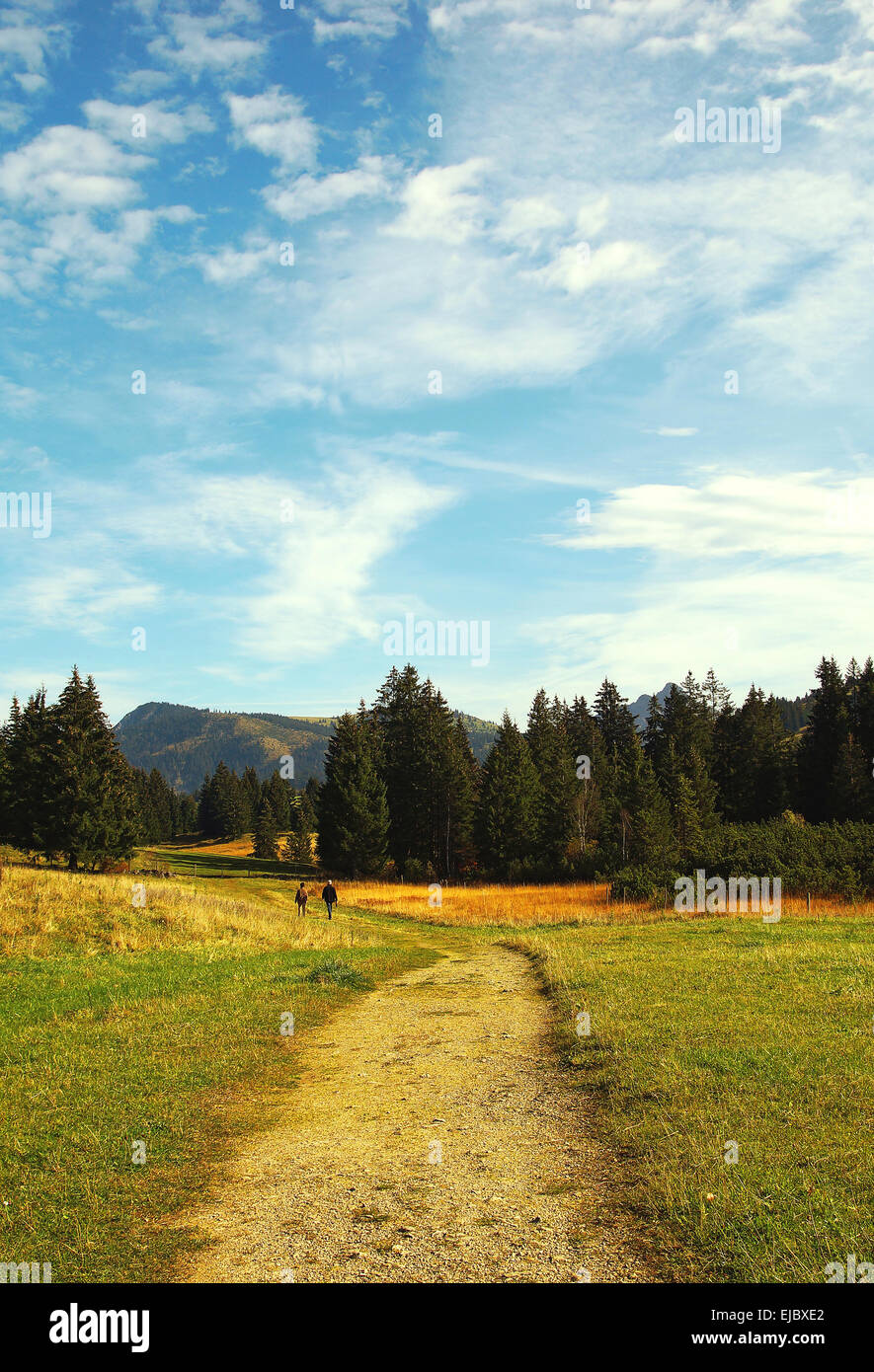 Hill Moor Oberjoch Bavaria Germany Stock Photo - Alamy