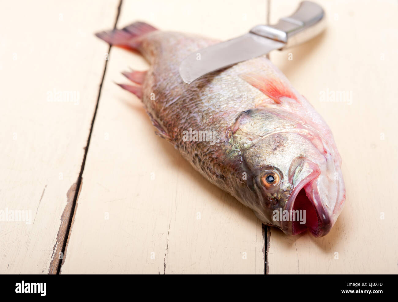 fresh whole raw fish Stock Photo - Alamy