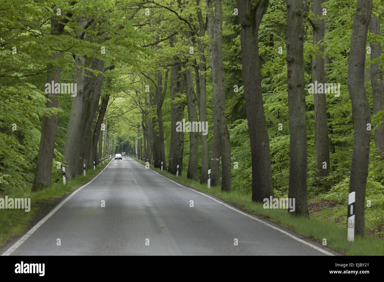 Long country road Stock Photo - Alamy