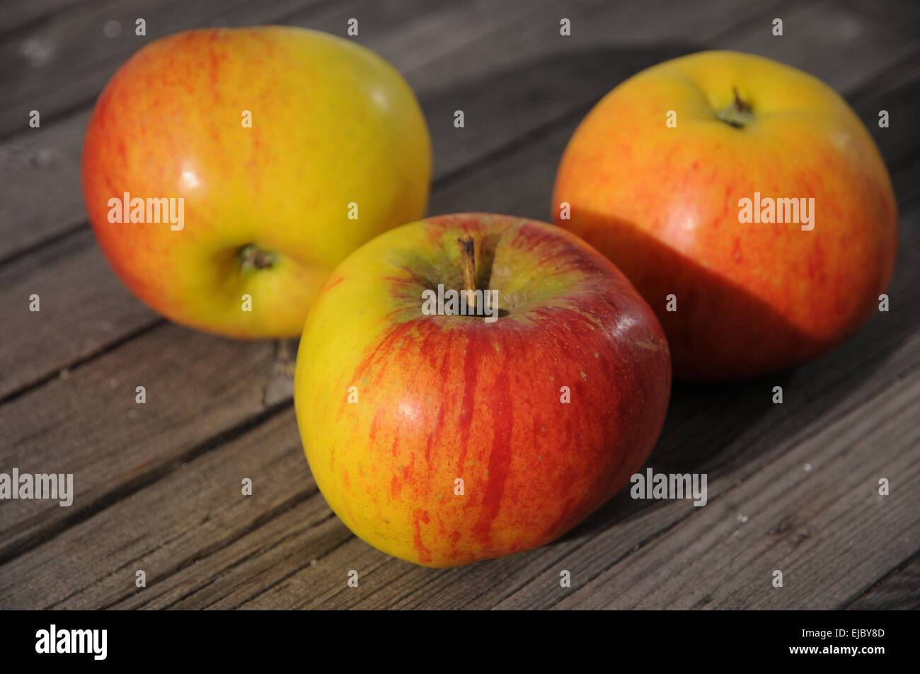 Topaz apple malus hi-res stock photography and images - Alamy