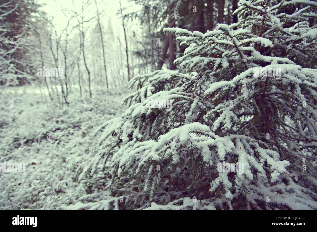 Snowflake scene hi-res stock photography and images - Alamy