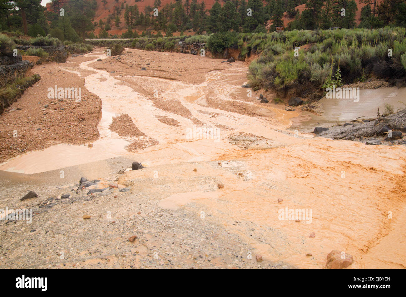 Flash Floods In Deserts