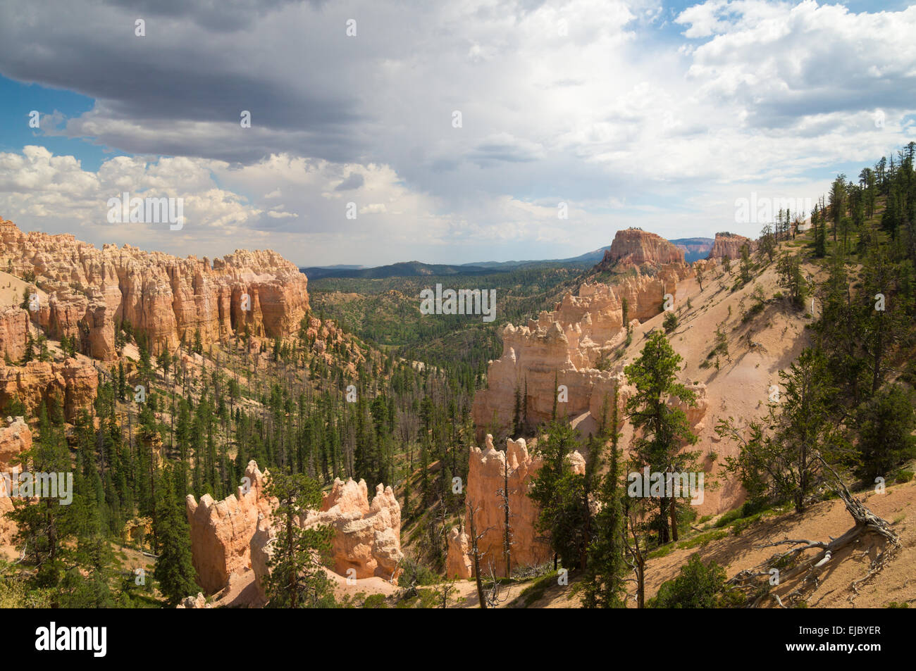 Rain clouds over Bryce Canyon Stock Photo - Alamy