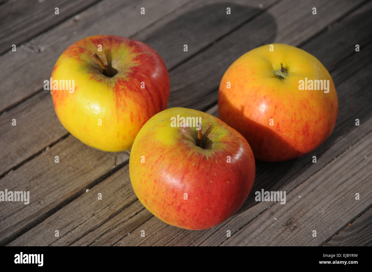 Topaz apple malus hi-res stock photography and images - Alamy
