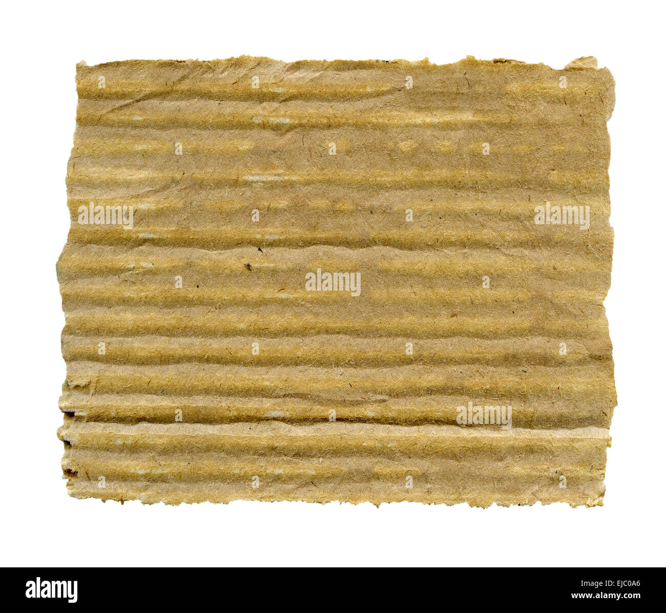 Torn cardboard isolated Stock Photo - Alamy