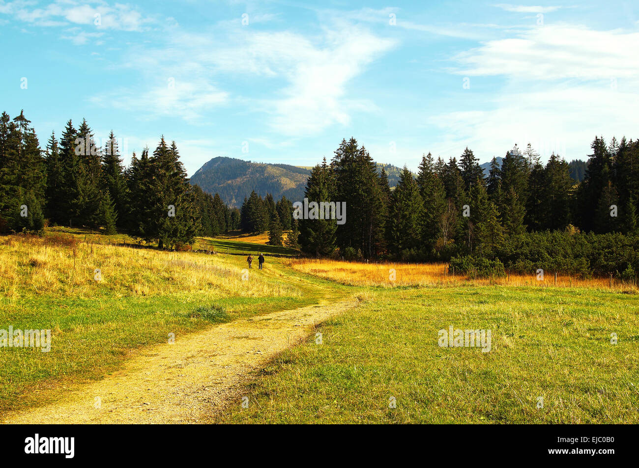 Hill Moor Oberjoch Bavaria Germany Stock Photo - Alamy