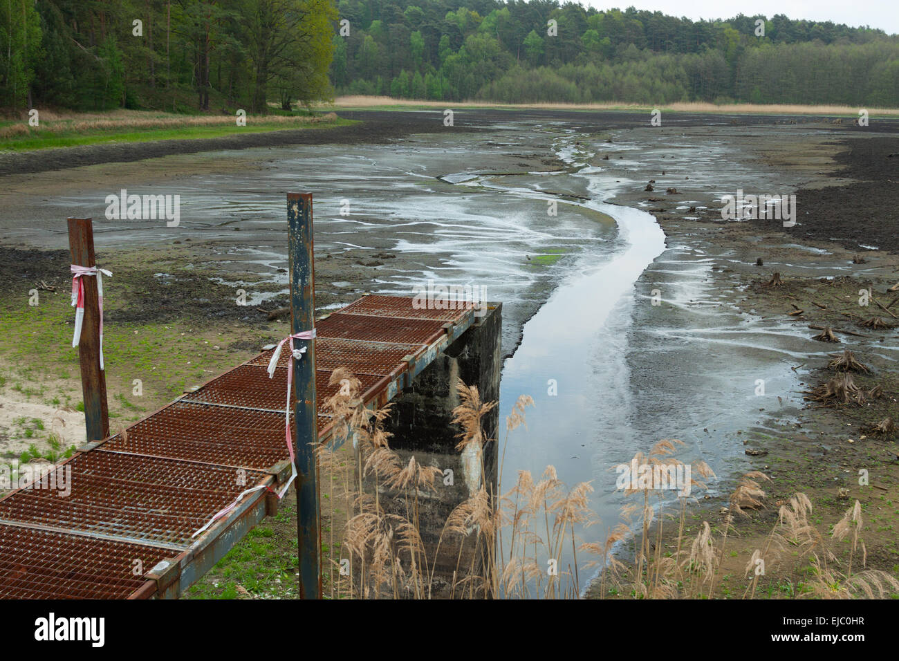Empty diving board hi-res stock photography and images - Alamy