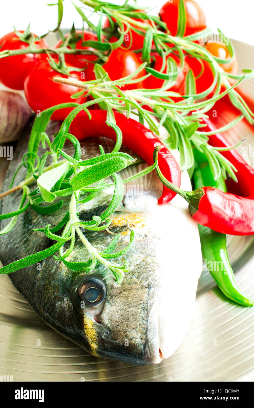 Fin plate hi-res stock photography and images - Alamy