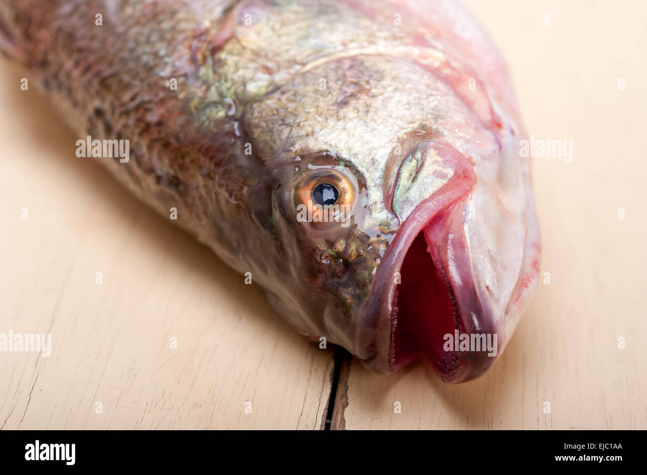 fresh whole raw fish Stock Photo - Alamy