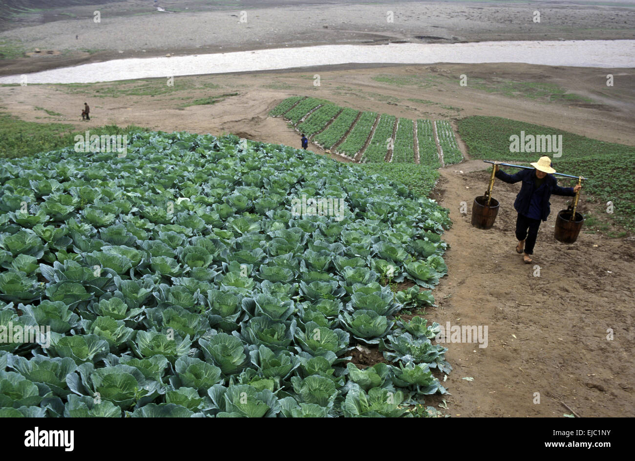 ASIA CHINA YANGZI RIVER Stock Photo - Alamy