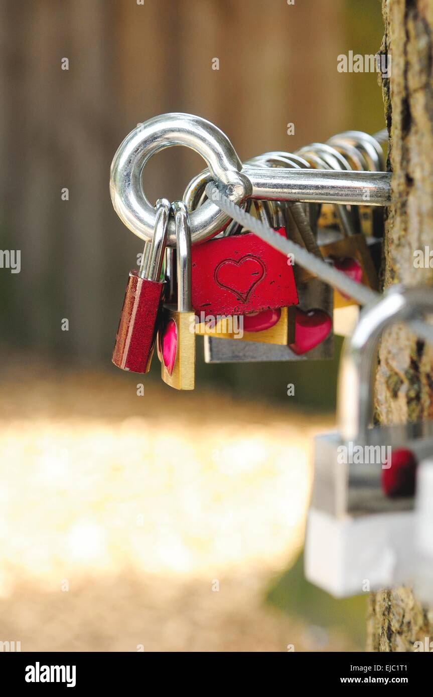 Loyal heart hi-res stock photography and images - Alamy