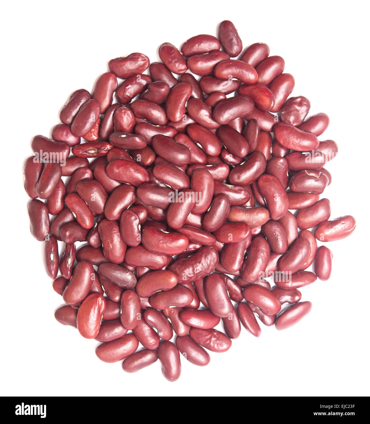 Image of kidney hi-res stock photography and images - Alamy